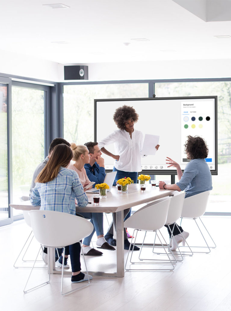 Mobile Stand Mounting Solutions - Newline Interactive