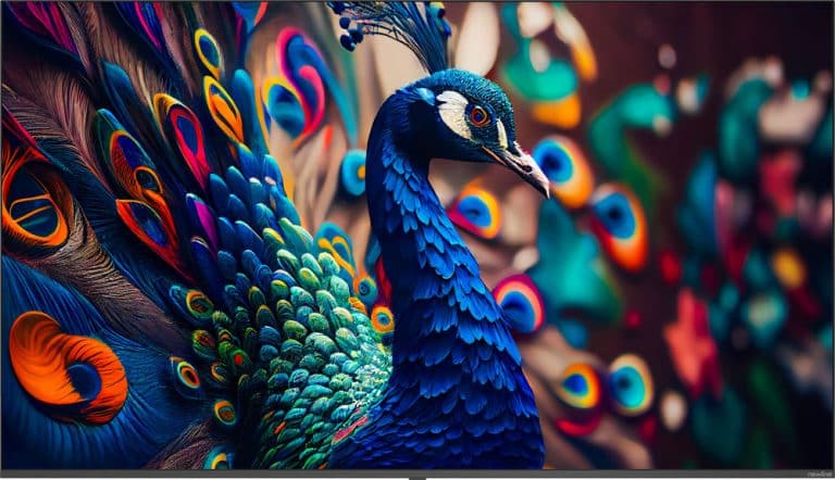 Newline STV+ Series Smart TV